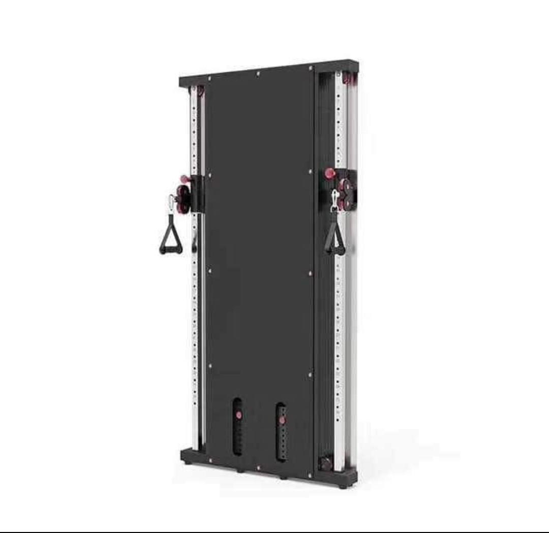 Wall Mounted Functional Trainer | Northern Fitness Canada